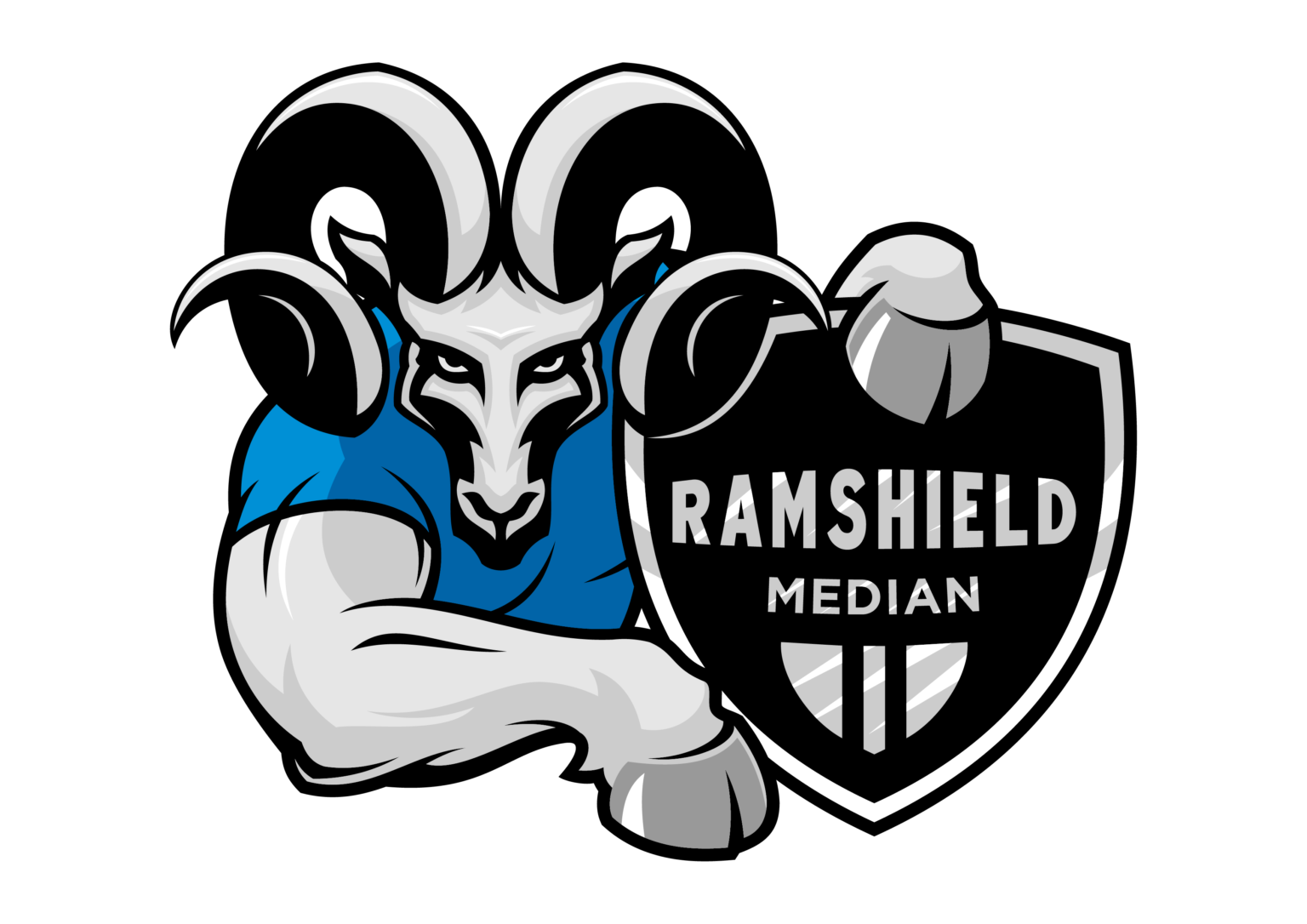 RamShield® Median | W-Beam Guardrail System